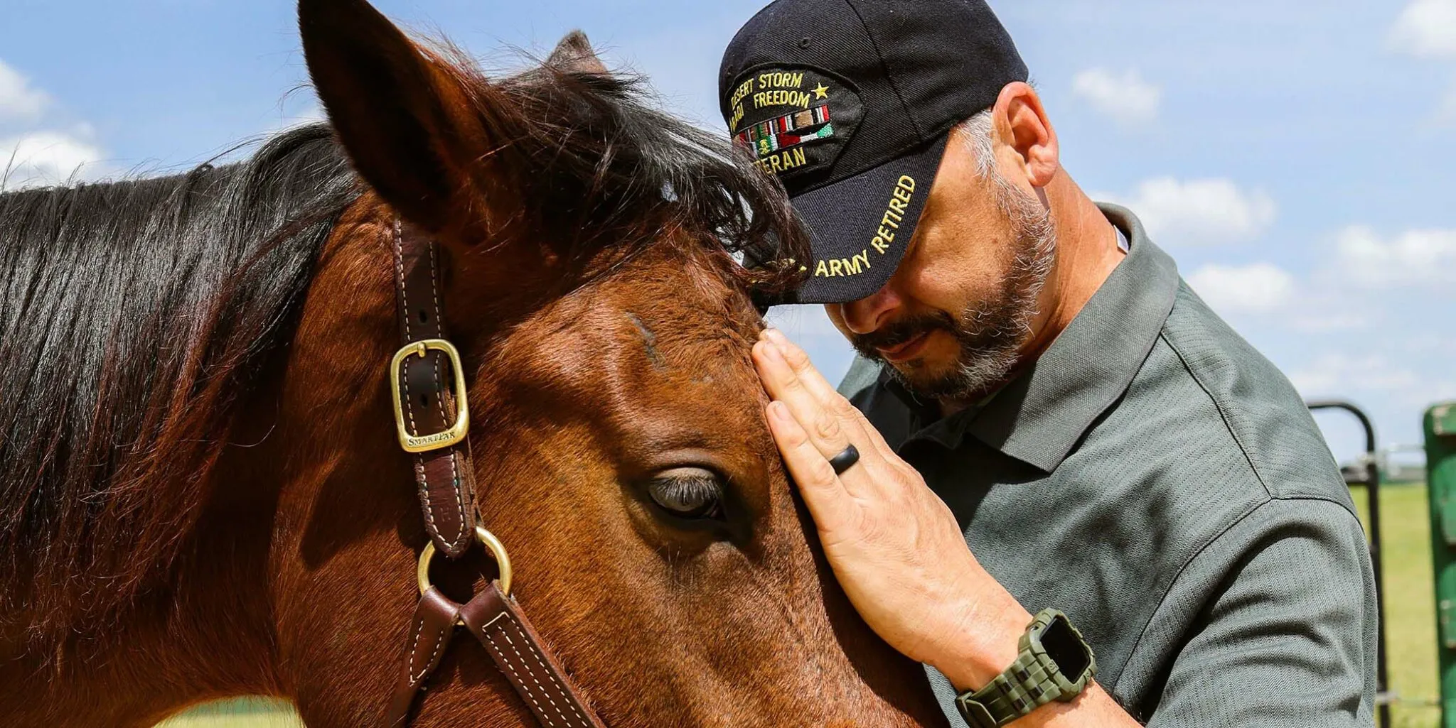 Our 2022 Social Mission: Aiken Equine Rescue – Fig Aiken