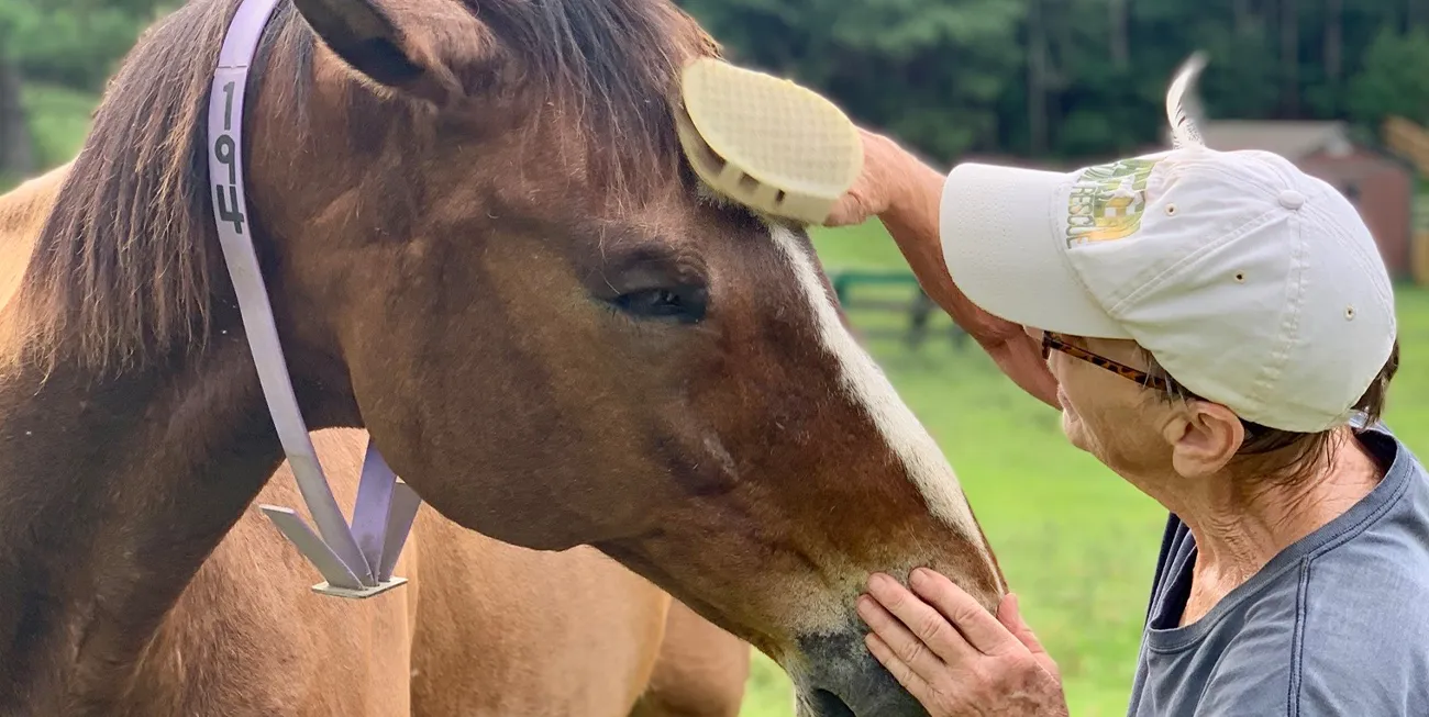 Social Mission: Aiken Equine Rescue – Fig Aiken