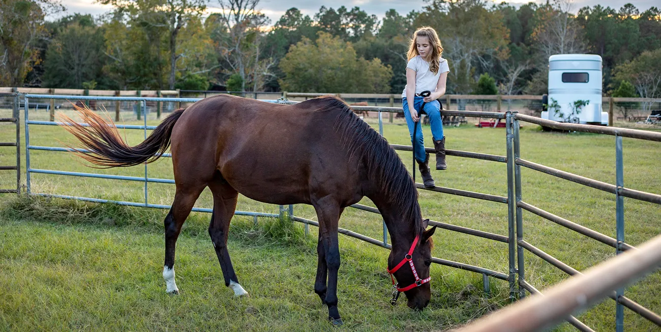 Social Mission: Aiken Equine Rescue – Fig Aiken